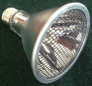 Mega Ray Pet Care Lighting | Products