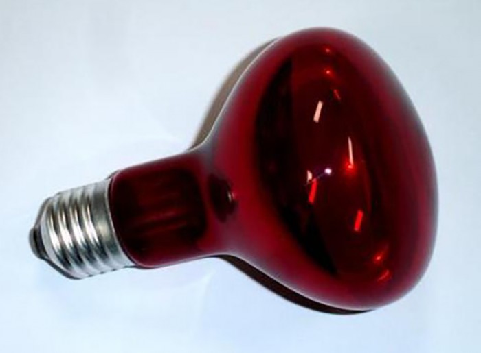 Mega Ray Pet Care Lighting | Products