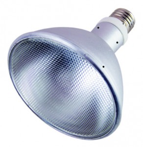 Mega Ray Pet Care Lighting | Products